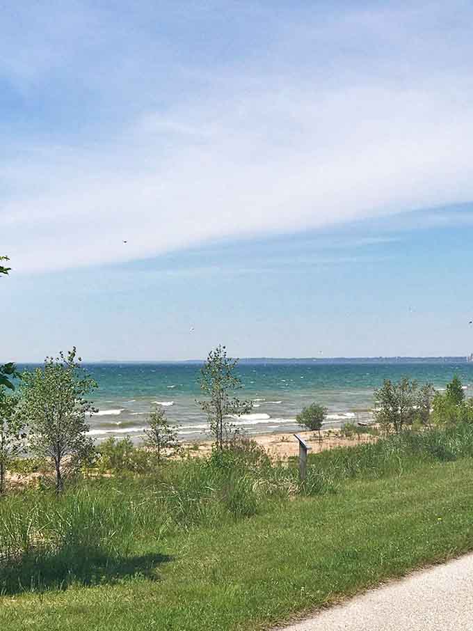 Where grassy shorelines meet endless blue horizons, creating the perfect backdrop for contemplating life's big questions.