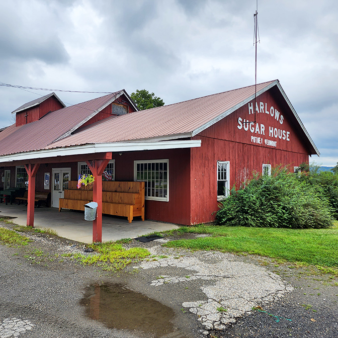 Harlow's Sugar House, where maple magic happens each spring as sap transforms into Vermont's most famous export.