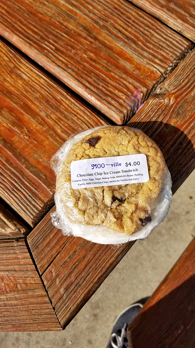 The legendary ice cream sandwich &ndash; two perfect cookies embracing creamy vanilla &ndash; sits ready for its close-up before meeting its delicious fate.