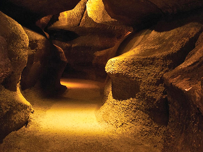 Inside Niagara Cave, nature's patient artistry reveals itself in dramatic limestone formations, creating an underground cathedral that whispers geological secrets.