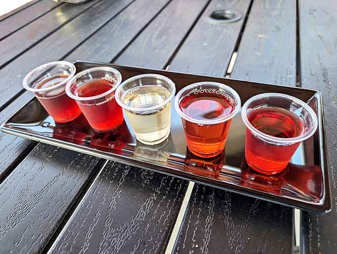 Decisions, decisions! A rainbow of wine and cider samples awaits your verdict in this perfectly presented tasting flight.