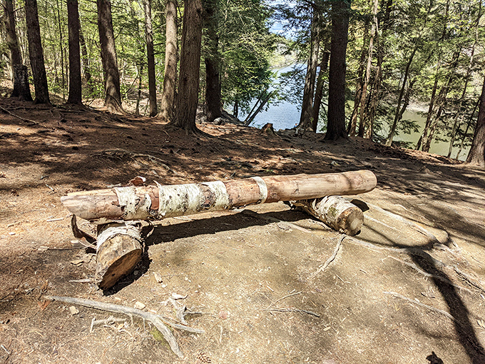 A rustic log bench offers a perfect resting spot with a view of the water through the trees.