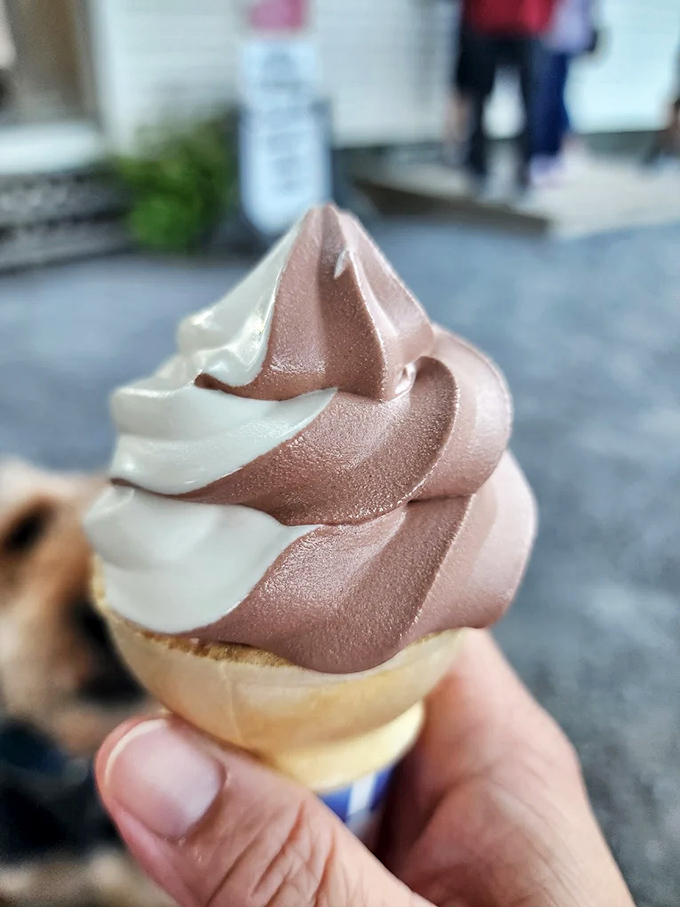 The maple coffee creemee solves the age-old dilemma of dessert versus caffeine by simply saying yes to both in one perfect cone.