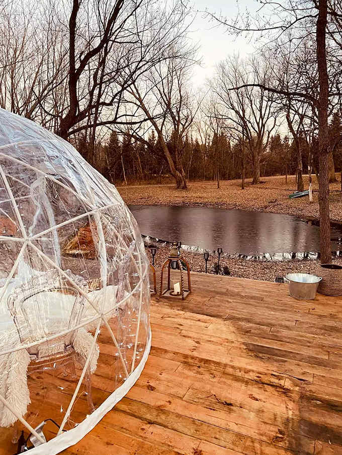 The dome's strategic placement offers serene views of a small pond, where nature's reflection doubles the visual delight.