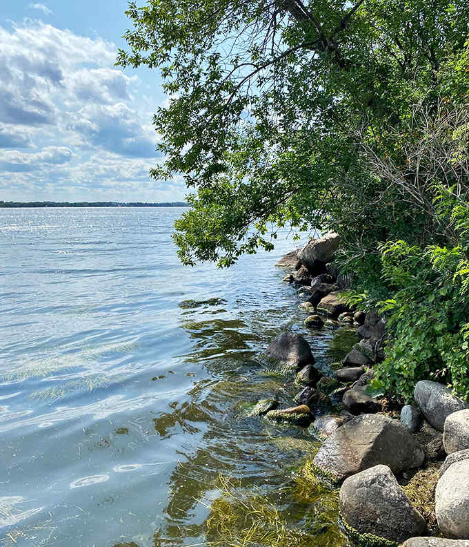 The Minnesota River flows like nature's timeline, carrying stories, sediment, and the occasional surprised-looking fish downstream.