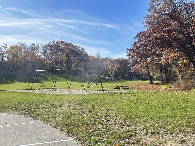 Simple swings against autumn trees remind us that sometimes the most magical playground equipment is the most basic.