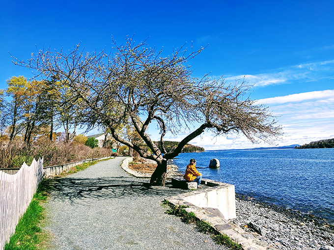 This quiet spot invites contemplation, where a lone bench offers front-row seats to nature's ever-changing coastal performance.