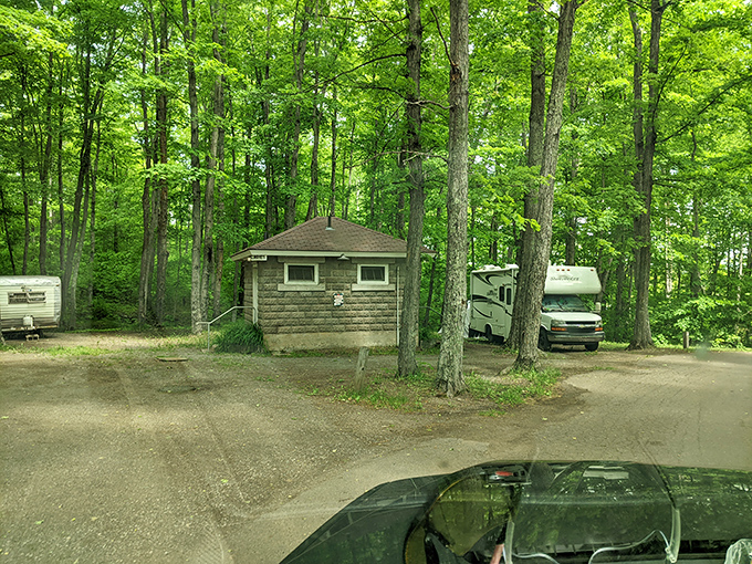 Perkins Park's rustic cabins nestle among towering trees, offering shelter with just enough comfort to feel like camping's sophisticated cousin.