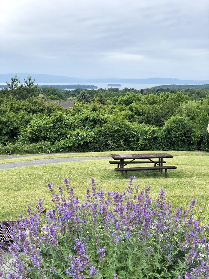 A simple picnic table with a million-dollar view &ndash; the best dining reservation in Vermont doesn't cost a penny.