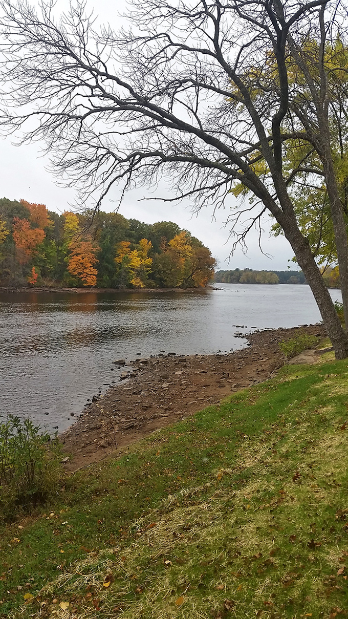 Fall foliage frames the Wisconsin River in a fiery embrace, nature's most spectacular color palette painting the water's edge.