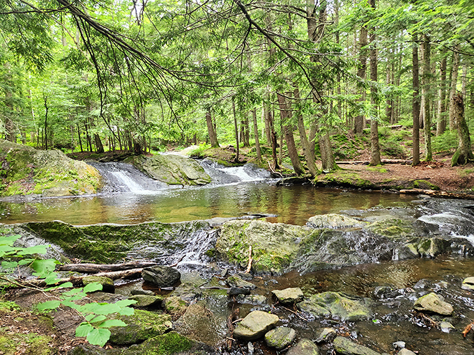 The water here is so clear and calm, it's basically nature's version of a meditation app, minus the subscription fee.