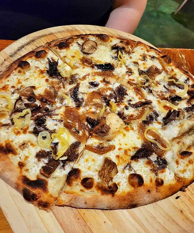 The short rib pizza emerges from the wood-fired oven with perfectly blistered edges and a slight smokiness that makes you question why more places don't put braised meat on pizza.