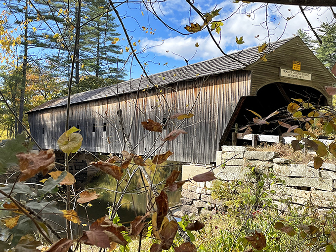 Weathered siding catches the golden hour light, showcasing the silver-gray patina that only comes from decades of Maine's changing seasons.