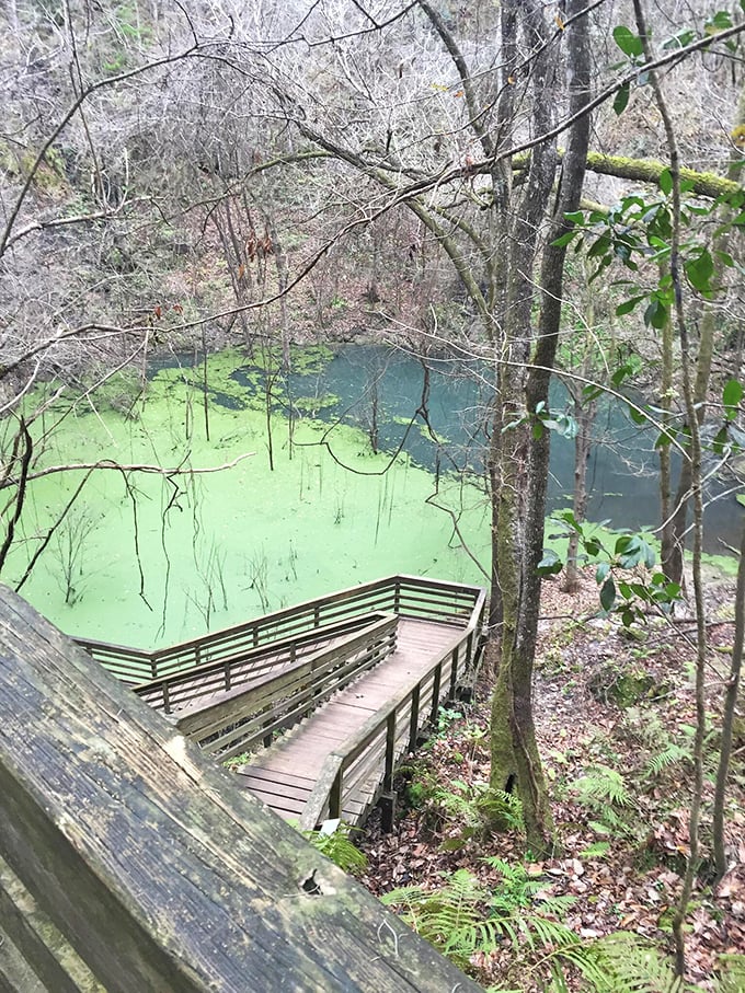 Emerald waters collect at the bottom of the sinkhole, creating a mysterious pool that seems to glow with an otherworldly light.