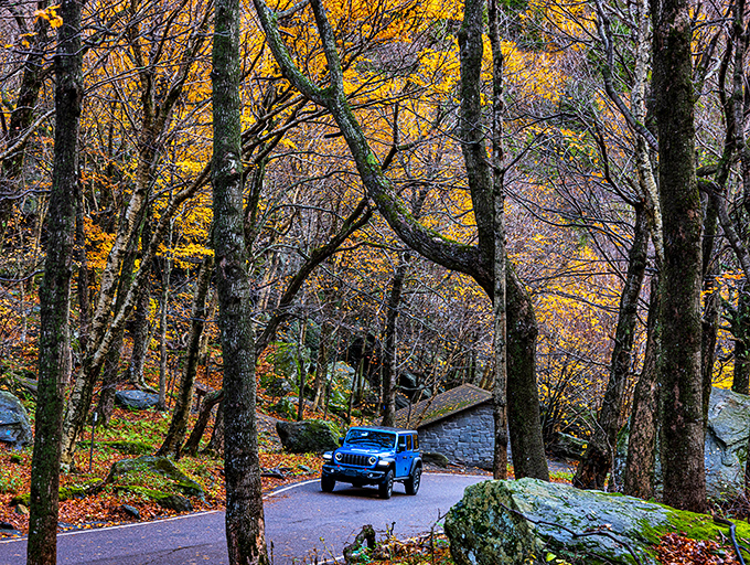 Smugglers' Notch Road curves through autumn's palette, where even the trees dress their best for fall.