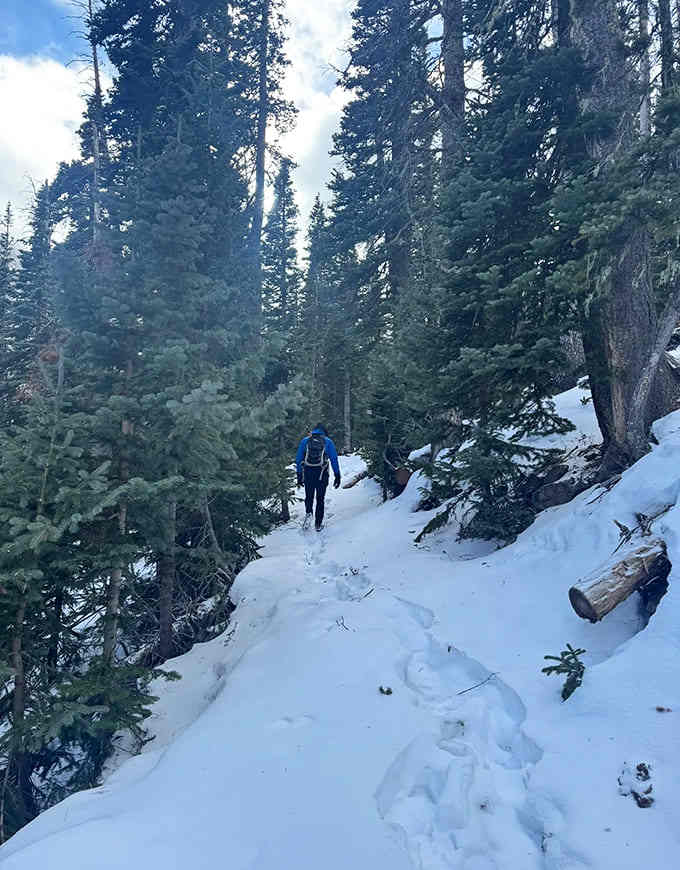 Winter hiking separates the casual enthusiasts from the truly committed, but those snowy vistas make every frozen step worthwhile for the dedicated.
