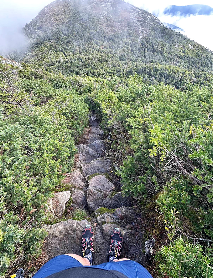 Nature's staircase challenges hikers with ancient stone steps worn smooth by countless boots and millennia of mountain weather.