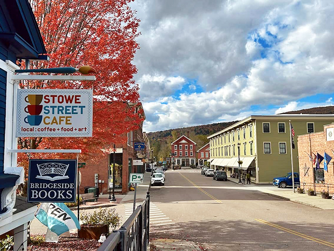 Stowe Street Cafe and Bridgeside Books share space in this charming corner, because coffee and literature have always been the perfect pairing for civilization.