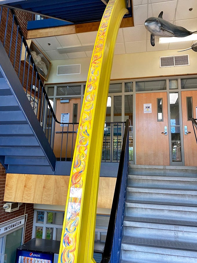 Inside, the Sun's representation stretches toward the ceiling, a yellow slide of astronomical proportions that brings warmth to scientific education.