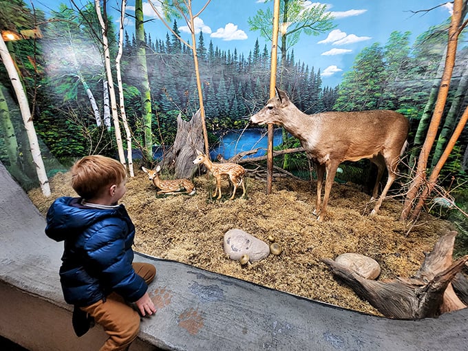 A tender family moment captured in this deer display &ndash; where a watchful doe and her fawn remind us of nature's nurturing side.