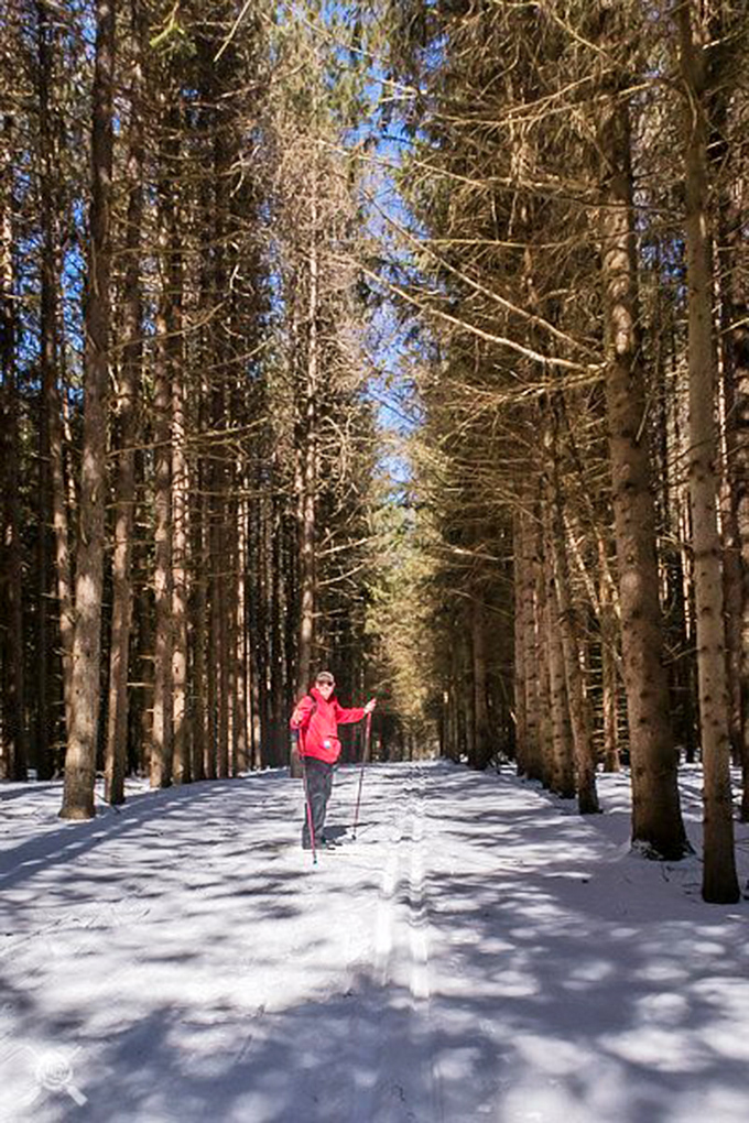 Ripton's forest trails beckon with the promise of solitude and discovery &ndash; each bend offering new vistas that no smartphone camera can truly capture.