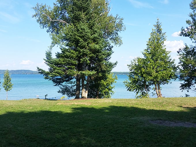 Sentinels of serenity: Towering trees frame the lake view, offering cool shade and the gentle rustle of leaves as nature's soundtrack.