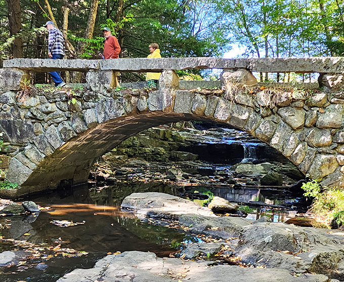 Explorers pause atop nature's perfect viewpoint, contemplating whether to share this magical spot or keep it their delicious secret.