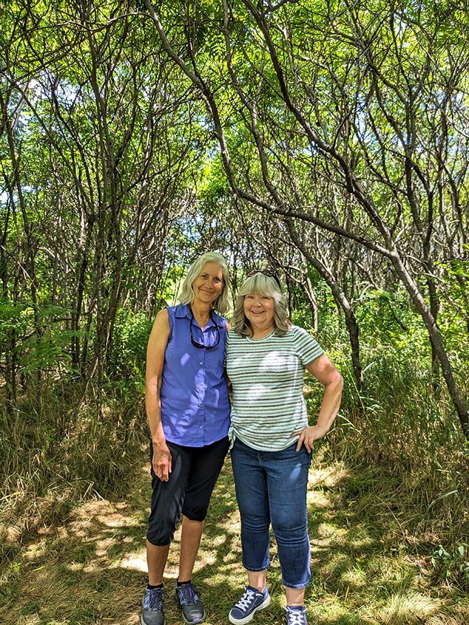 Visitors explore the ancient pathways, discovering that the best conversations sometimes happen while standing on 450-million-year-old seafloor.