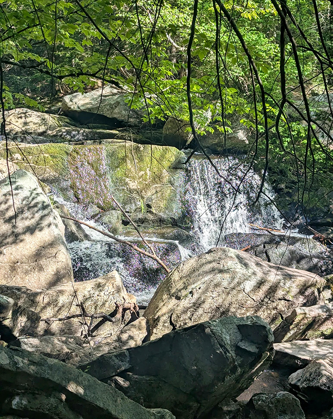 Water choreographs an eternal dance over these sun-dappled rocks, creating nature's most soothing symphony for lucky onlookers.