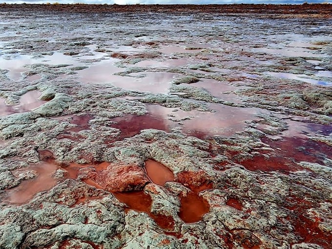 Puddles of rusty water collect in the desert rock, reflecting the same sky dinosaurs once walked beneath.