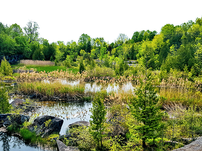 Vibrant moss carpets the preserve, adding splashes of emerald life to the ancient gray stone.