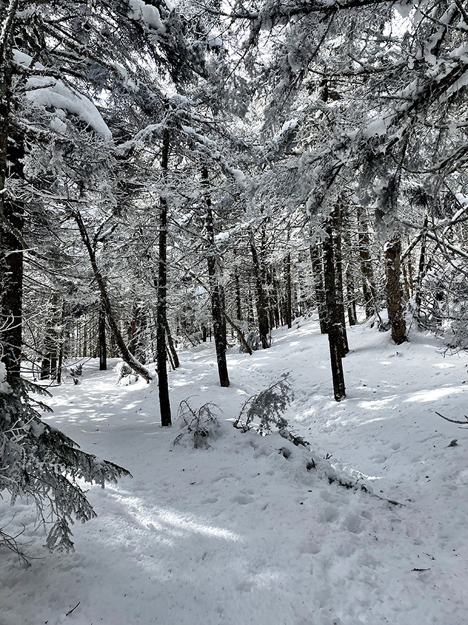 Winter transforms the trail into nature's snow cone &ndash; beautiful to look at, challenging to climb, impossible to eat.