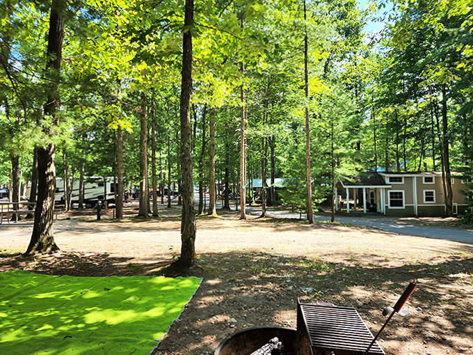 Campsites nestled among towering pines offer that perfect balance of privacy and community that makes camping special.