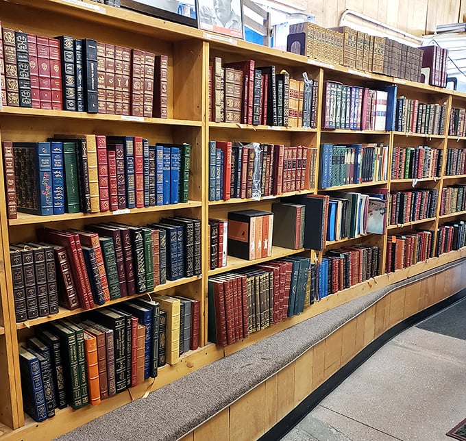 Books lean against each other like old friends sharing secrets, their varied heights and colors creating a visual rhythm across wooden shelves.
