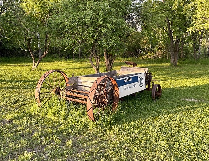 This weathered farm planter enjoys its retirement among the grass, telling stories of agricultural days gone by through rusted wheels.