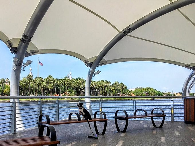 Shaded seating areas offer welcome respite for Riverwalk explorers, perfect spots to pause and watch the world float by.