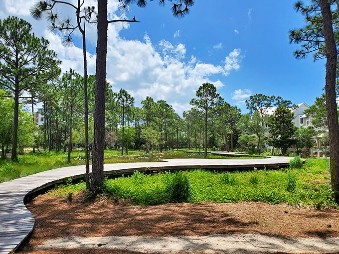 Boardwalk to bliss: The wooden pathway cuts through pristine dunes, delivering beach-goers to their sandy sanctuary without disturbing delicate vegetation.