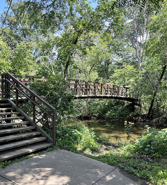 Cross this charming wooden bridge and follow the path to geological wonders that have been forming since dinosaurs roamed Minnesota.
