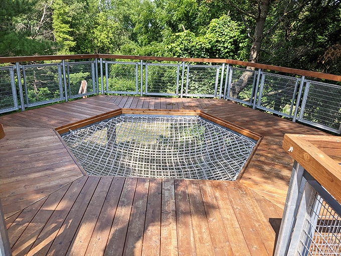 The suspended net deck offers a squirrel's-eye view of the forest and the perfect spot for cloud-watching philosophers.