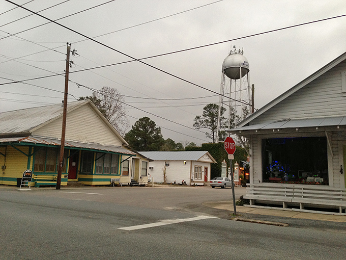 Sopchoppy's small-town appeal comes complete with vintage buildings, a classic water tower, and zero chain restaurants in sight.