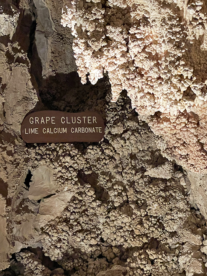 These grape-like calcium carbonate formations grow at a glacial pace, taking centuries to create this delicate underground vineyard.