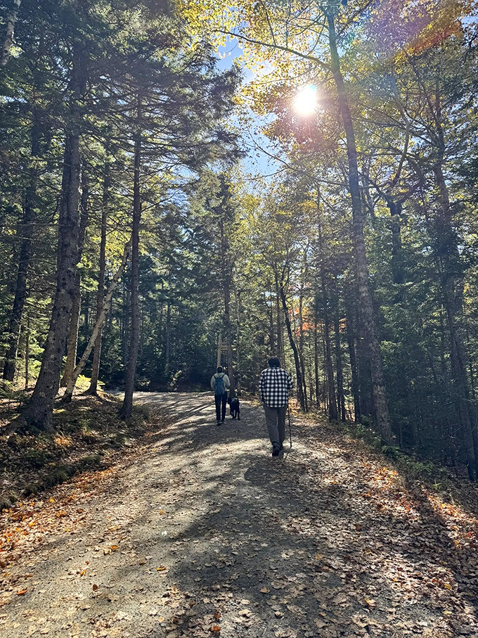 Fellow adventurers enjoying the journey &ndash; sharing the trail with kindred spirits makes the experience even richer.