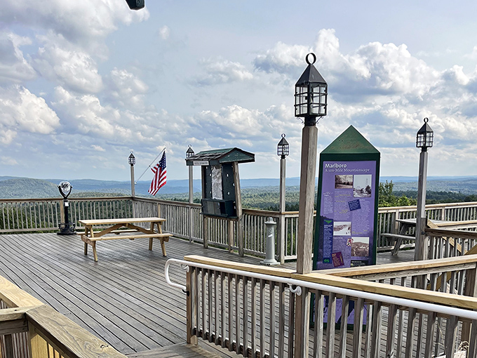 The observation deck: where picnic tables become front-row seats to nature's greatest show on earth.
