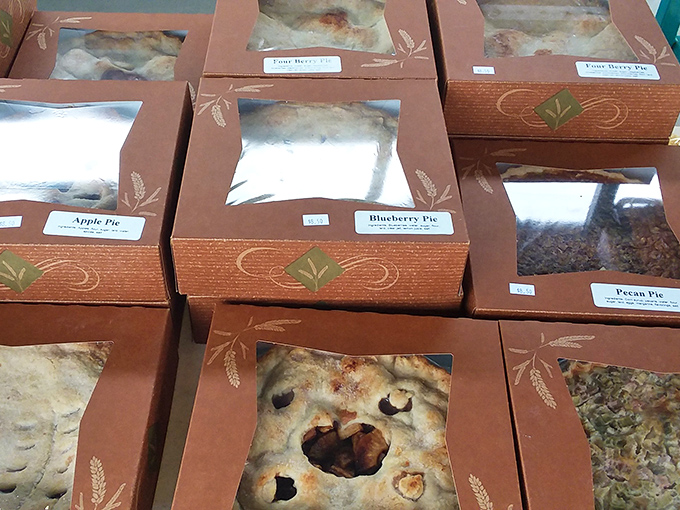 These aren't just pies – they're edible works of art, from classic apple to pecan, each promising a slice of homemade heaven.