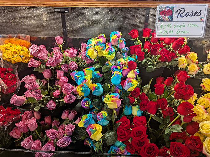 These aren't just roses; they're nature's color palette showing off with hues that would make a sunset jealous.