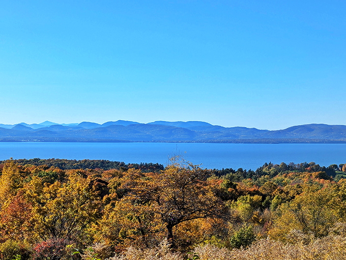 Fall foliage creates nature's perfect frame for Lake Champlain's blue expanse – Vermont showing off again!