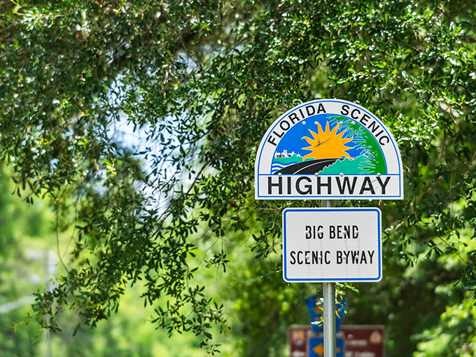 Official recognition of natural splendor: the Big Bend Scenic Byway sign marks your entry to Florida's hidden coastal treasure.