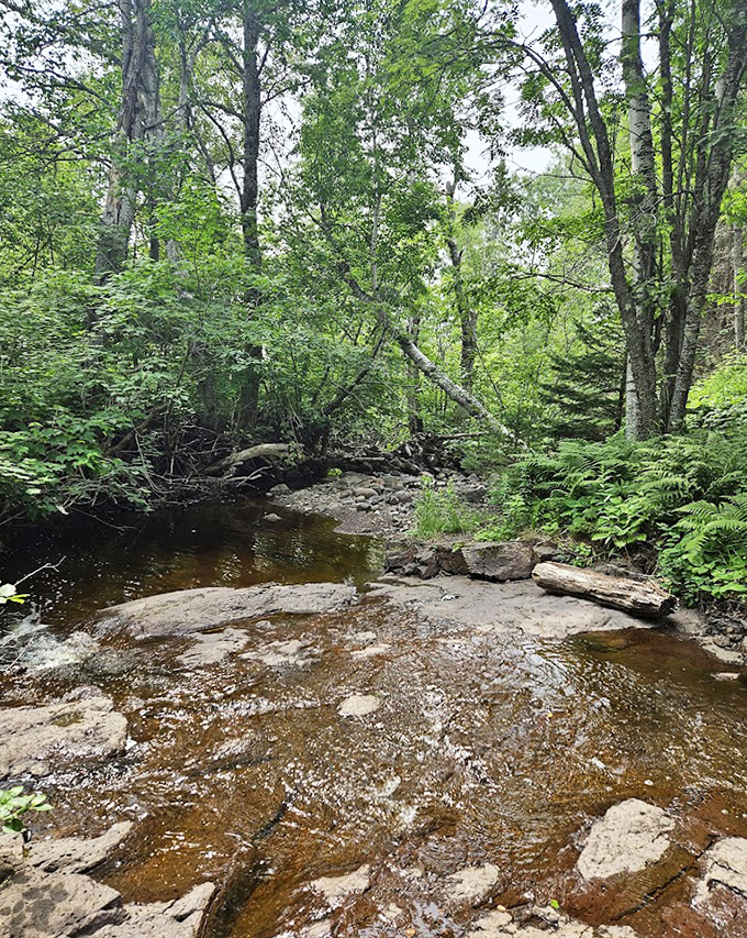 This gentle stream carves its ancient path through rock and forest, a liquid sculptor that's been perfecting its artwork for millennia.