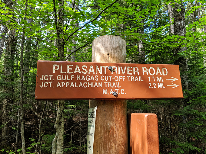 This unassuming trail marker points the way to one of Maine's most spectacular hidden gems &ndash; adventure lies ahead!