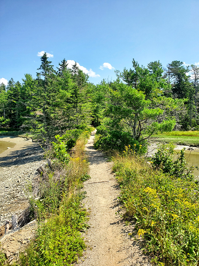 The path less traveled becomes the memory most treasured on this sun-dappled section of the Old Pond Railway Trail.
